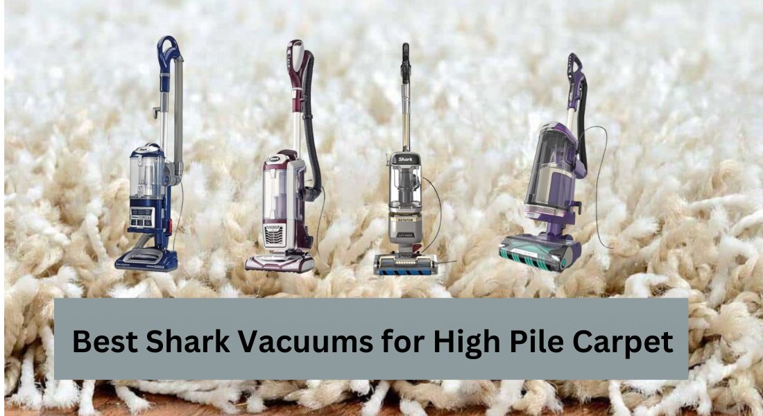 5 Best Car Vacuum Cleaners to Buy in 2025 - Shark Vacuum Blog