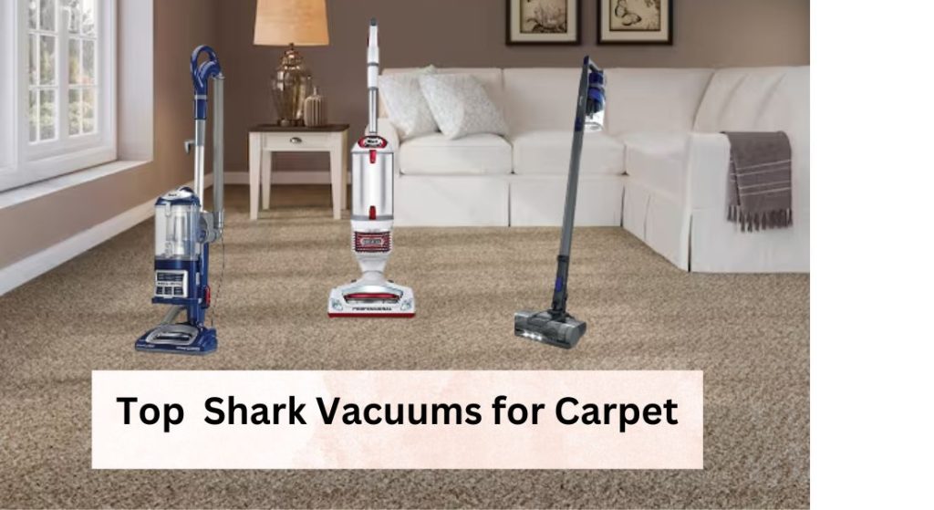 5 Best Car Vacuum Cleaners to Buy in 2025 - Shark Vacuum Hub