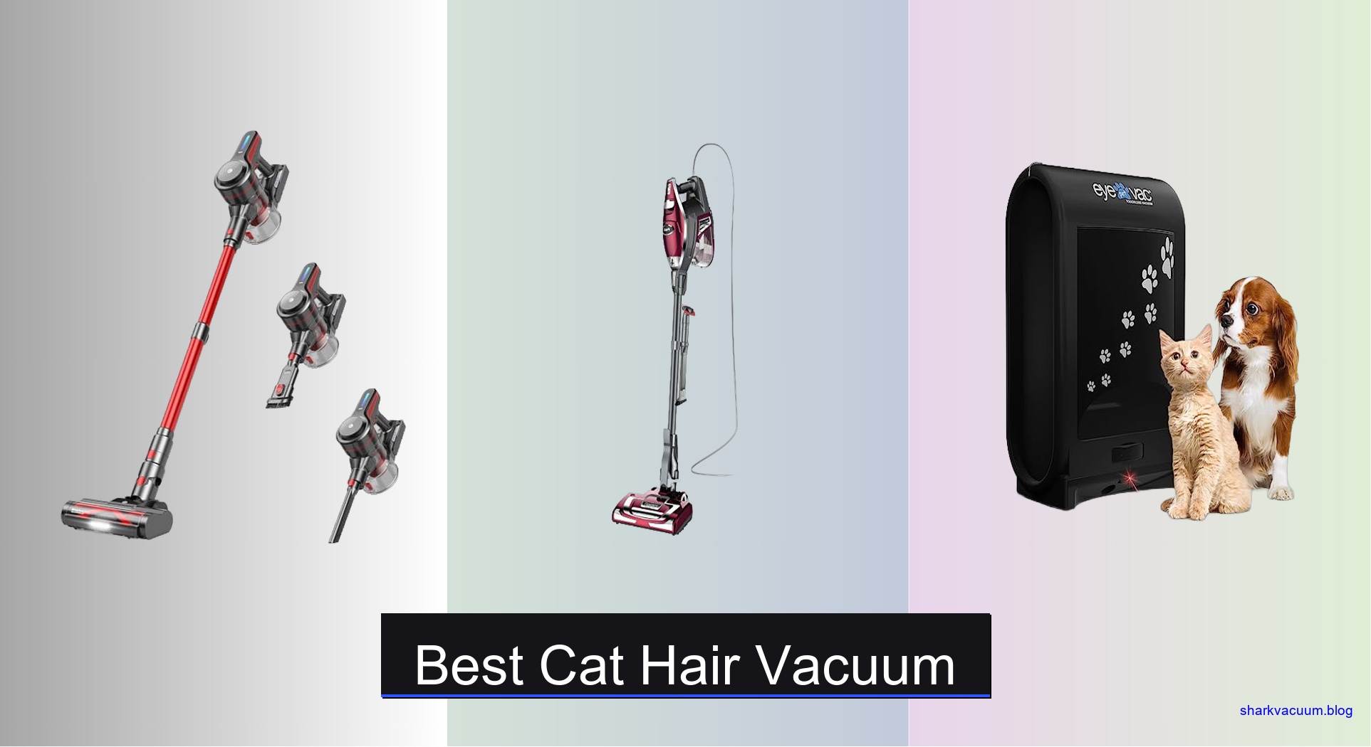 5 Best Cat Hair Vacuums to Buy in 2025